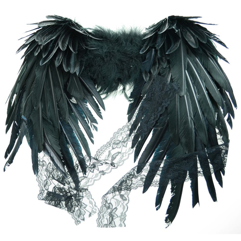 Ailes D'ange Noires Transparentes